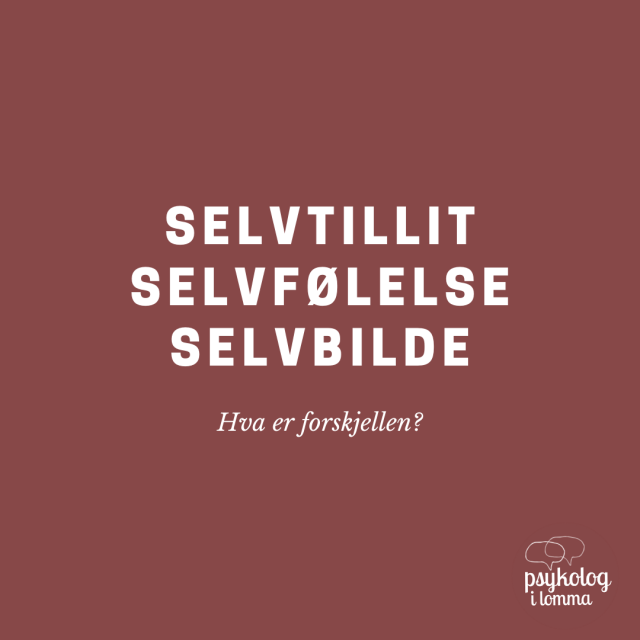 Selvtillit Ord